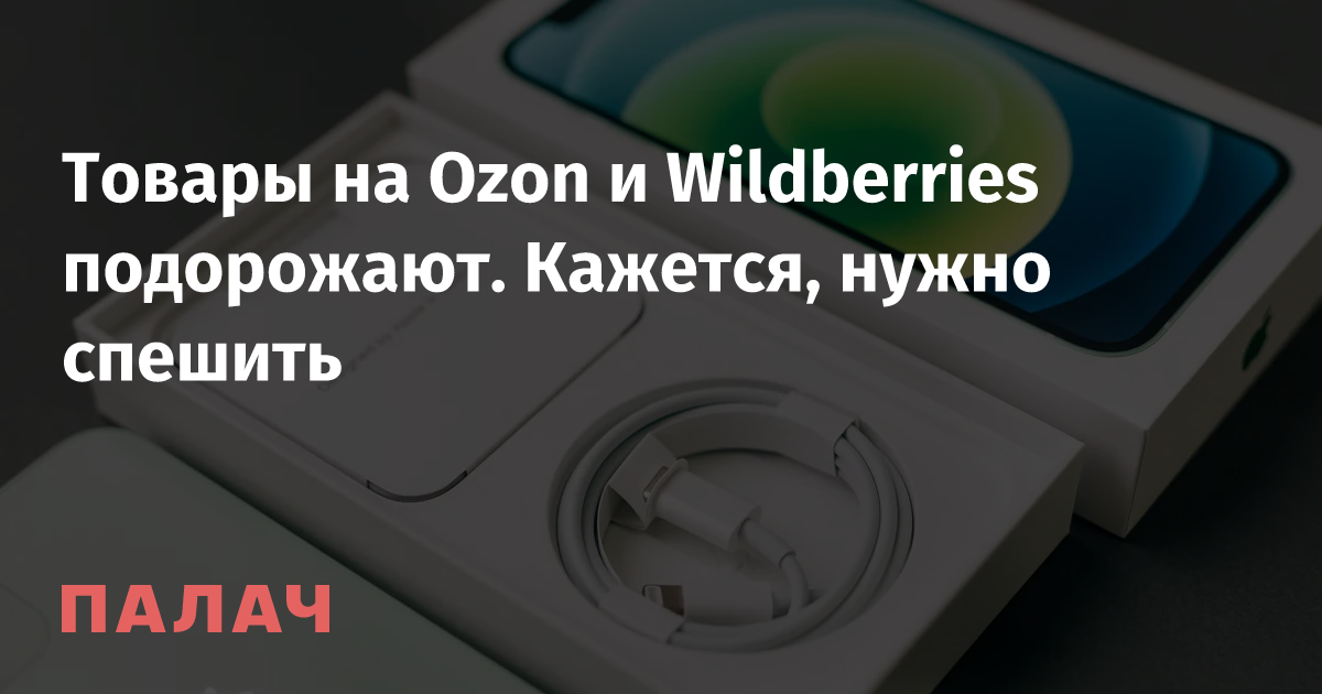 Товары на Ozon и Wildberries подорожают. Кажется, нужно спешить — Палач | Гаджеты, скидки и медиа